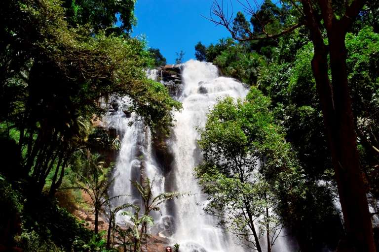 Irente viewpoint-Kisasa waterfalls - Usambara Direct Tours
